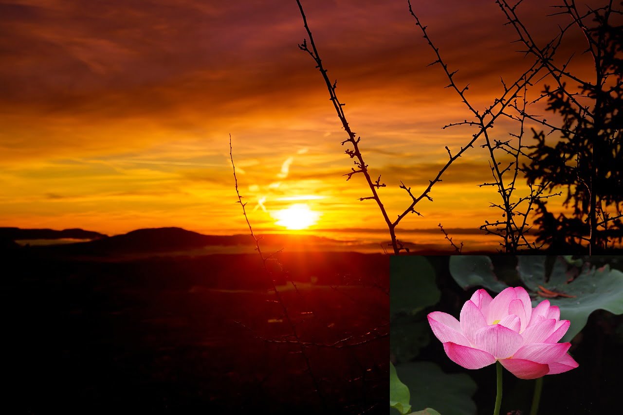 Padparadscha, The King of Sapphires - The Gem Museum