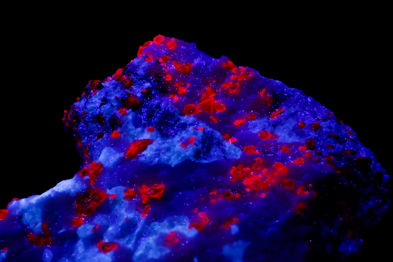 Experience The Night at The Gem Museum 2025 - The Gem Museum